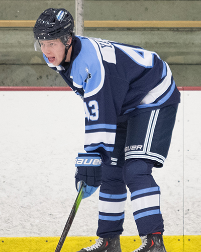The New Hampshire Jr. Mountain Kings of the North American 3 Hockey ...